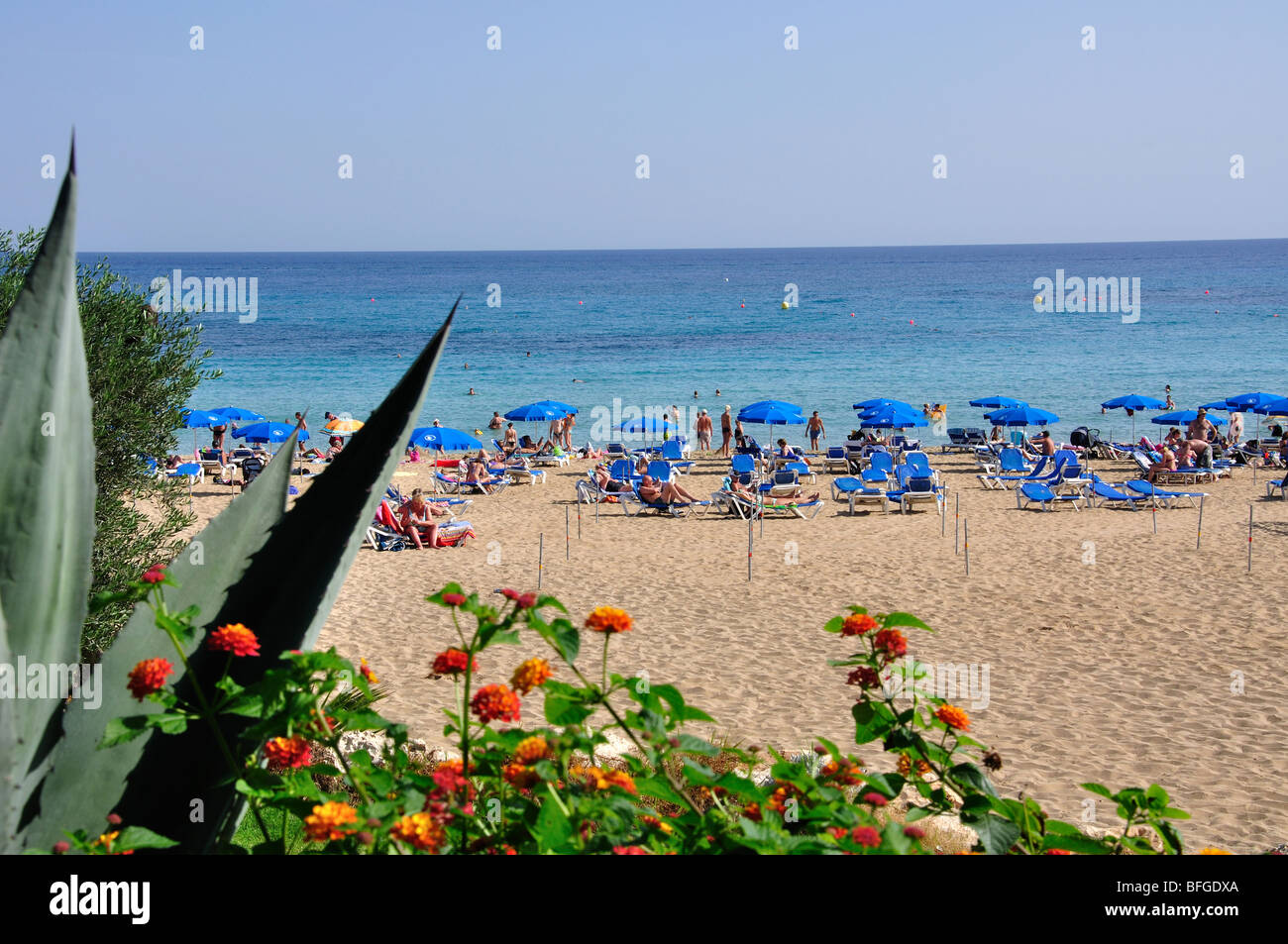 Fig tree bay beach hi-res stock photography and images - Alamy