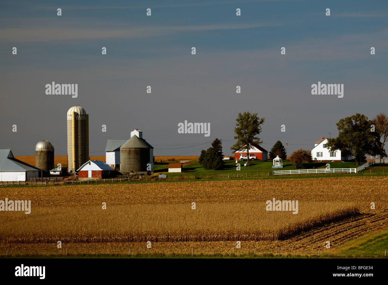 Iowa corn fields hi-res stock photography and images - Alamy
