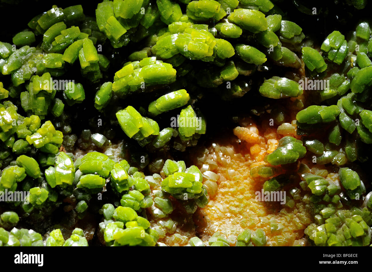 Chlorophosphate hi-res stock photography and images - Alamy