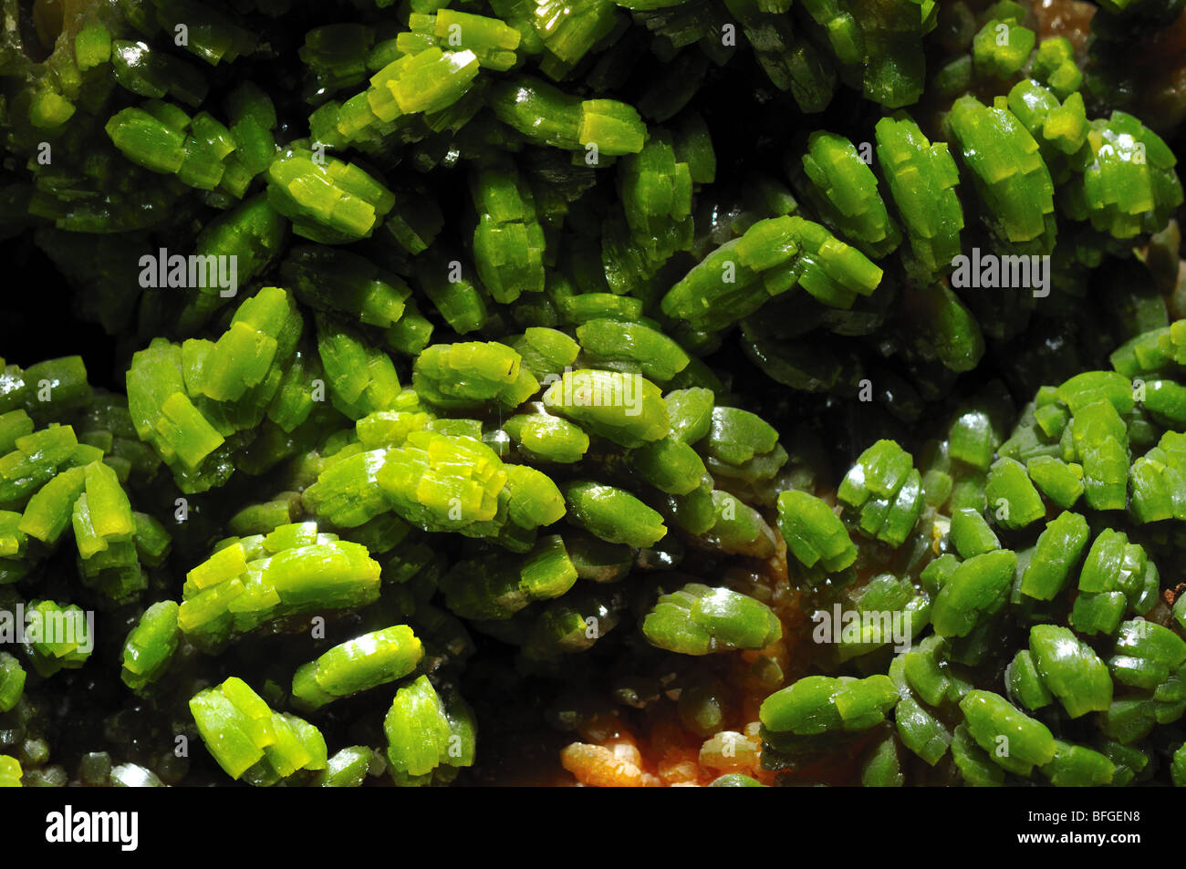 Chlorophosphate hi-res stock photography and images - Alamy