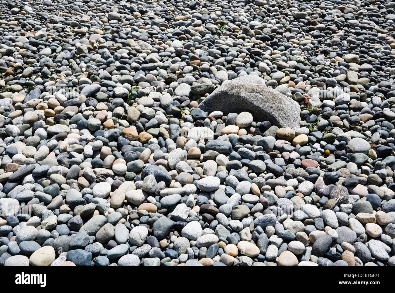 Whatcom County Park High Resolution Stock Photography and Images - Alamy