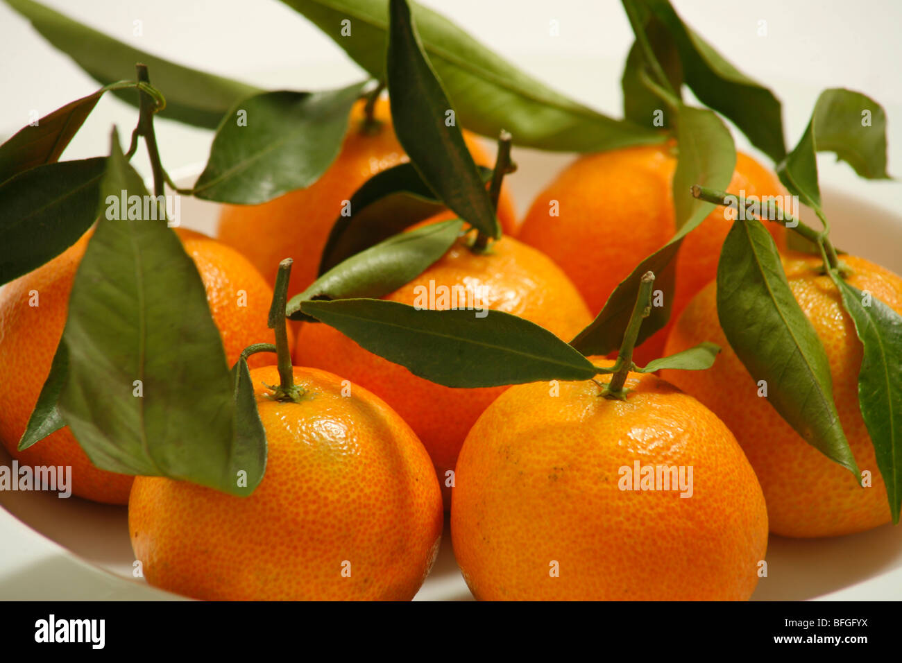 Clementines leaves hi-res stock photography and images - Alamy