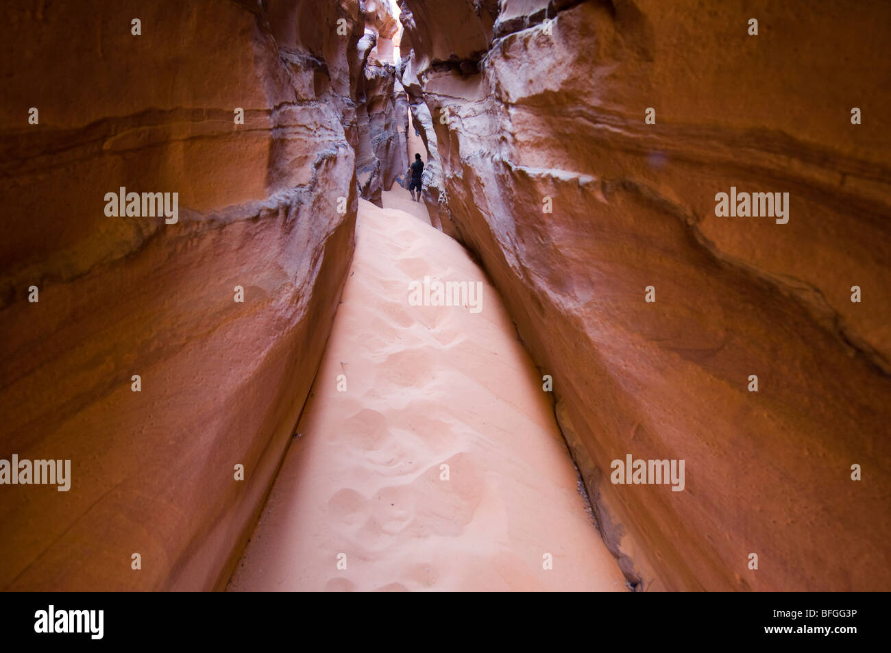 World landscapes adventure safari hi-res stock photography and images ...