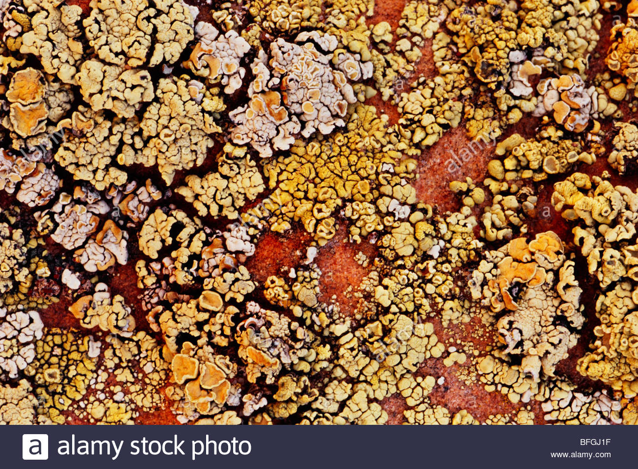 Vermilion Cliffs Stock Photos & Vermilion Cliffs Stock Images - Alamy