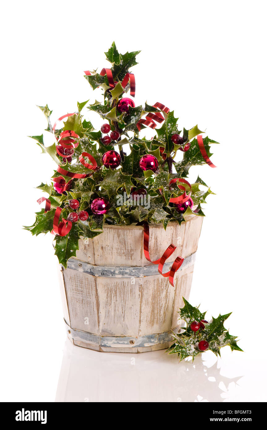 Holly display in rustic wooden bucket Stock Photo - Alamy