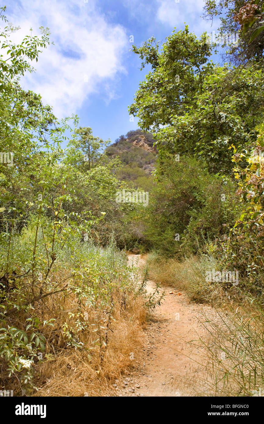 Temescal canyon hi-res stock photography and images - Alamy