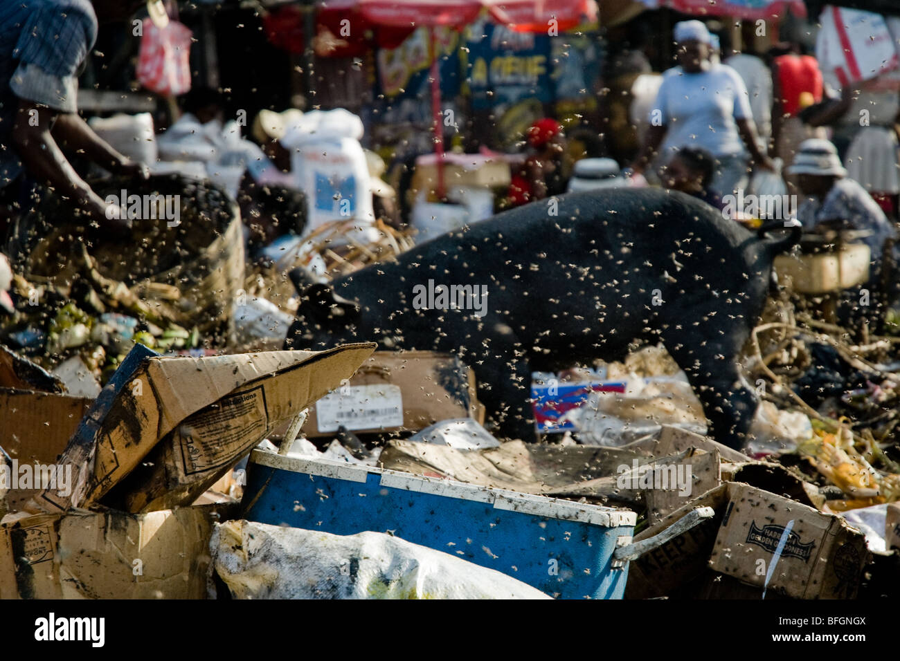 Slum port au prince business hi-res stock photography and images - Alamy
