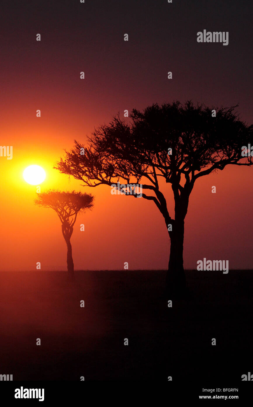 African sun set Stock Photo - Alamy