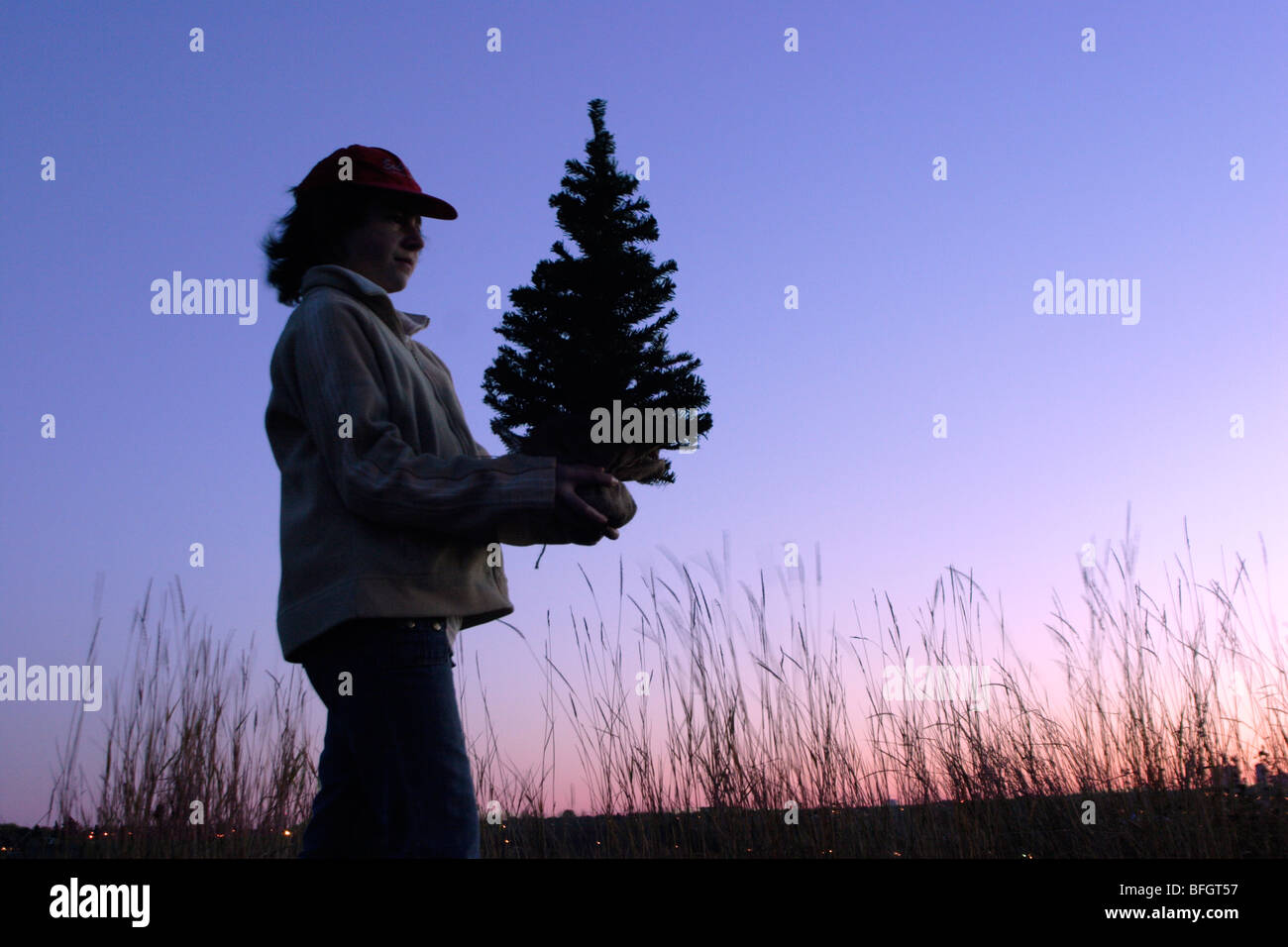 12 year old girl holding pine tree sapling Stock Photo - Alamy