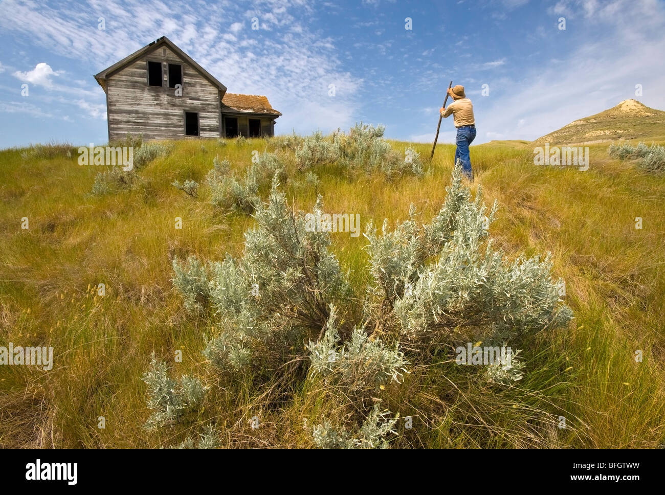 A man looks at an abandoned farmhouse, Big Muddy Badlands, Saskatchewan ...