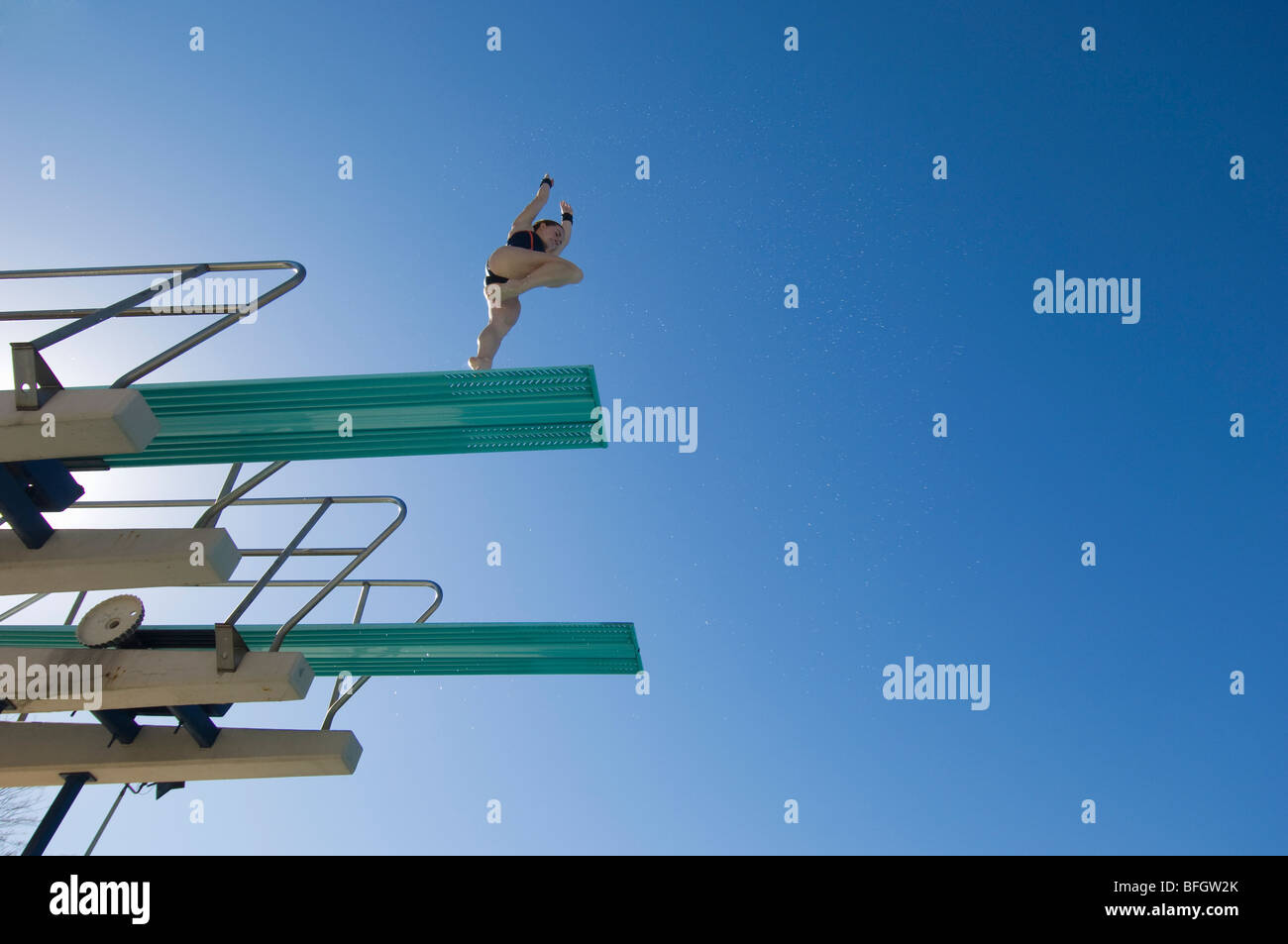 Female swimmer preparing to dive from diving board Stock Photo - Alamy