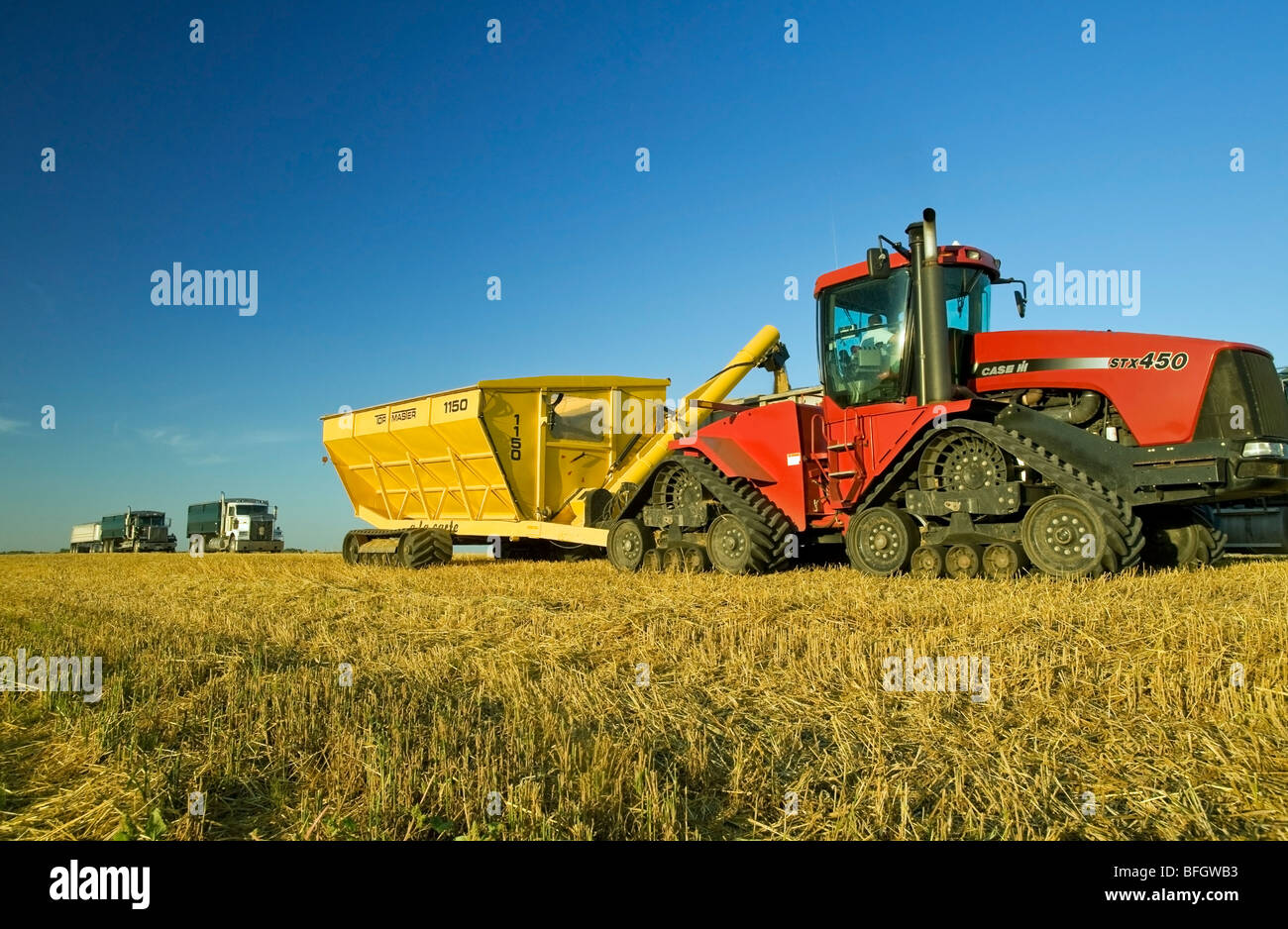 Grain wagon empties oats into a farm truck during harvest, Lorette ...