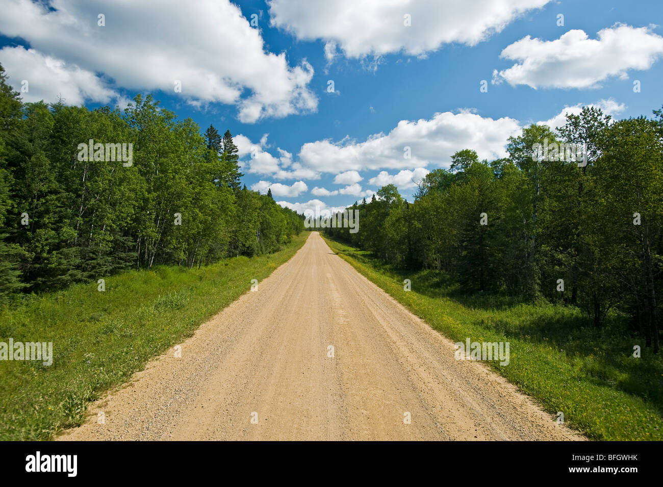 Country road through boreal forest. Duck Mountain Provincial Park ...