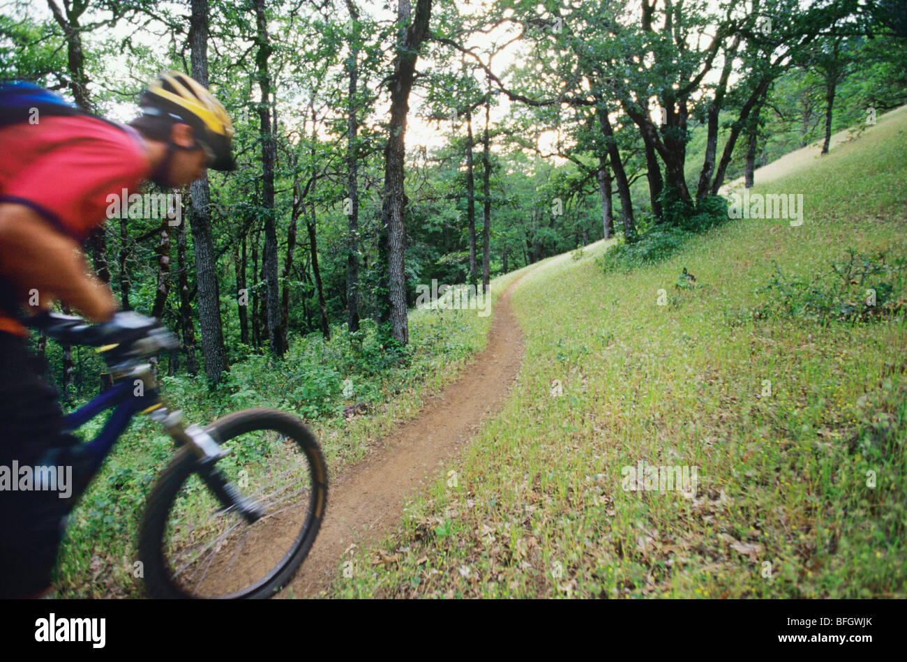 Biker riding on forest trail Stock Photo - Alamy