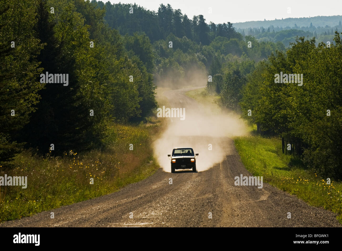 Suv on forest road hi-res stock photography and images - Alamy