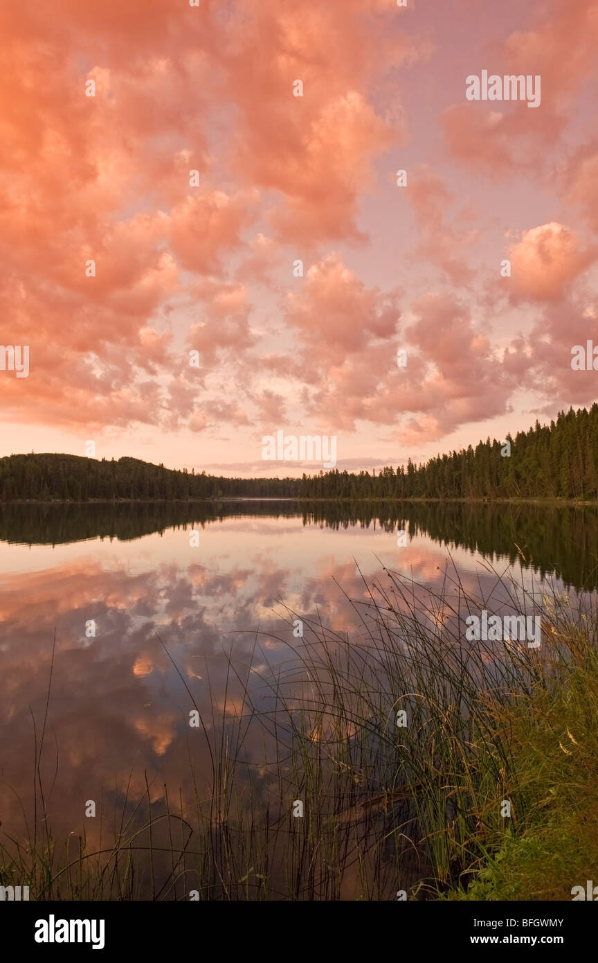 Perch lake hi-res stock photography and images - Alamy