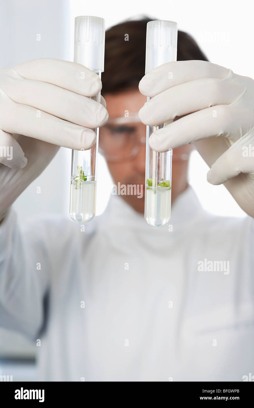 Male lab worker comparing two test tubes with liquid Stock Photo - Alamy