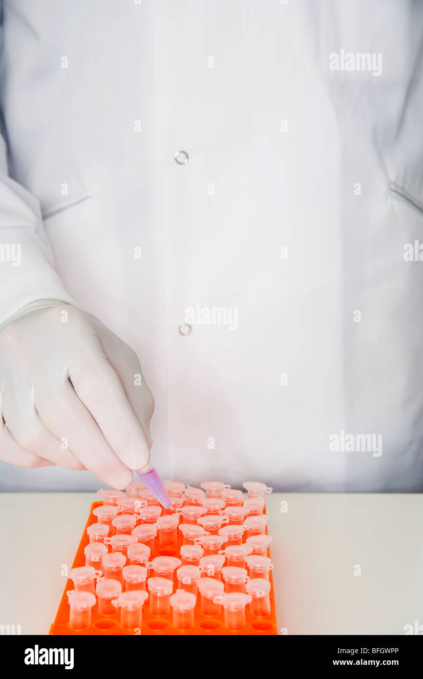 Lab worker adding violet liquid to test tubes in orange tray Stock ...