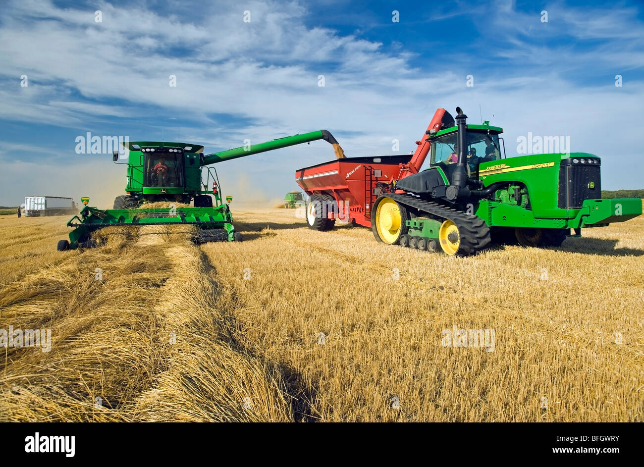 A combine unloads spring wheat into a grain wagon, St. Leon, Manitoba ...