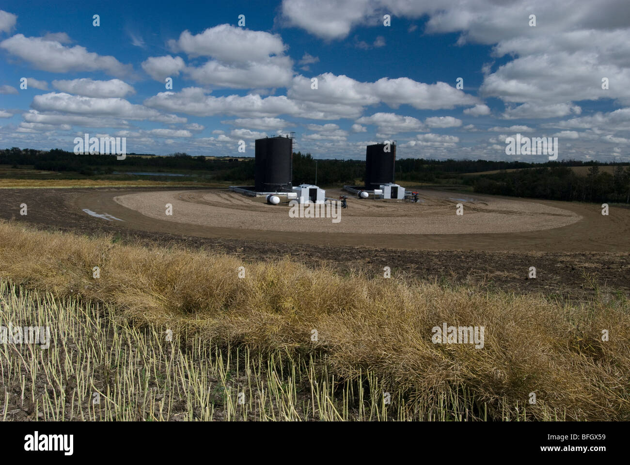 Oil storage tanks surrounded by agriculture. Near Kitscoty, Alberta ...
