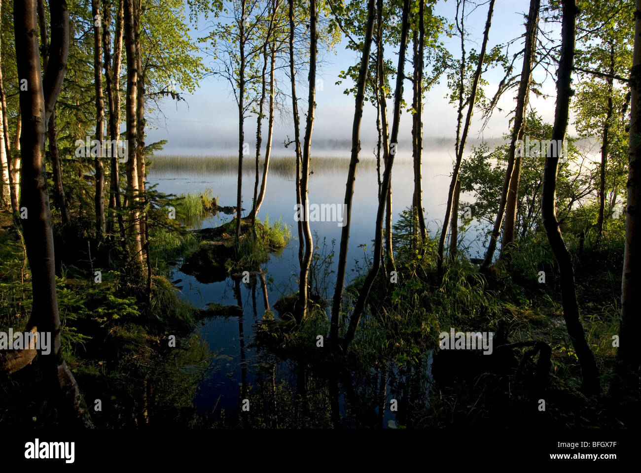 McLeod Lake at sunrise with morning fog. Carson Pegasus Provincial Park ...