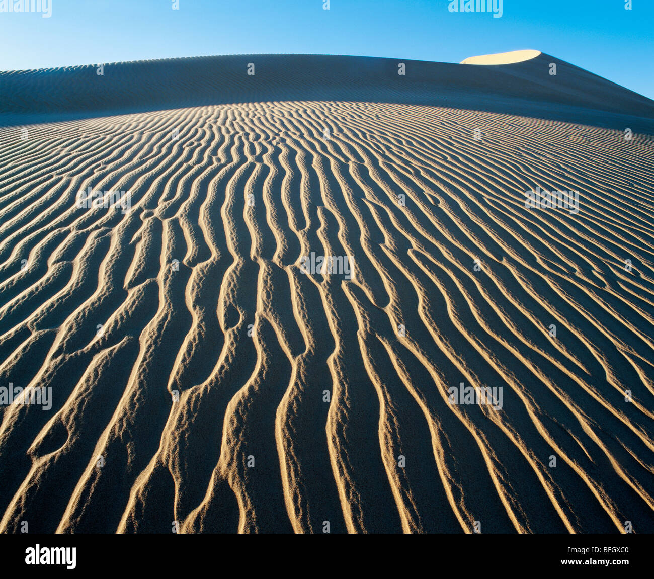 Patterns in sand Stock Photo - Alamy