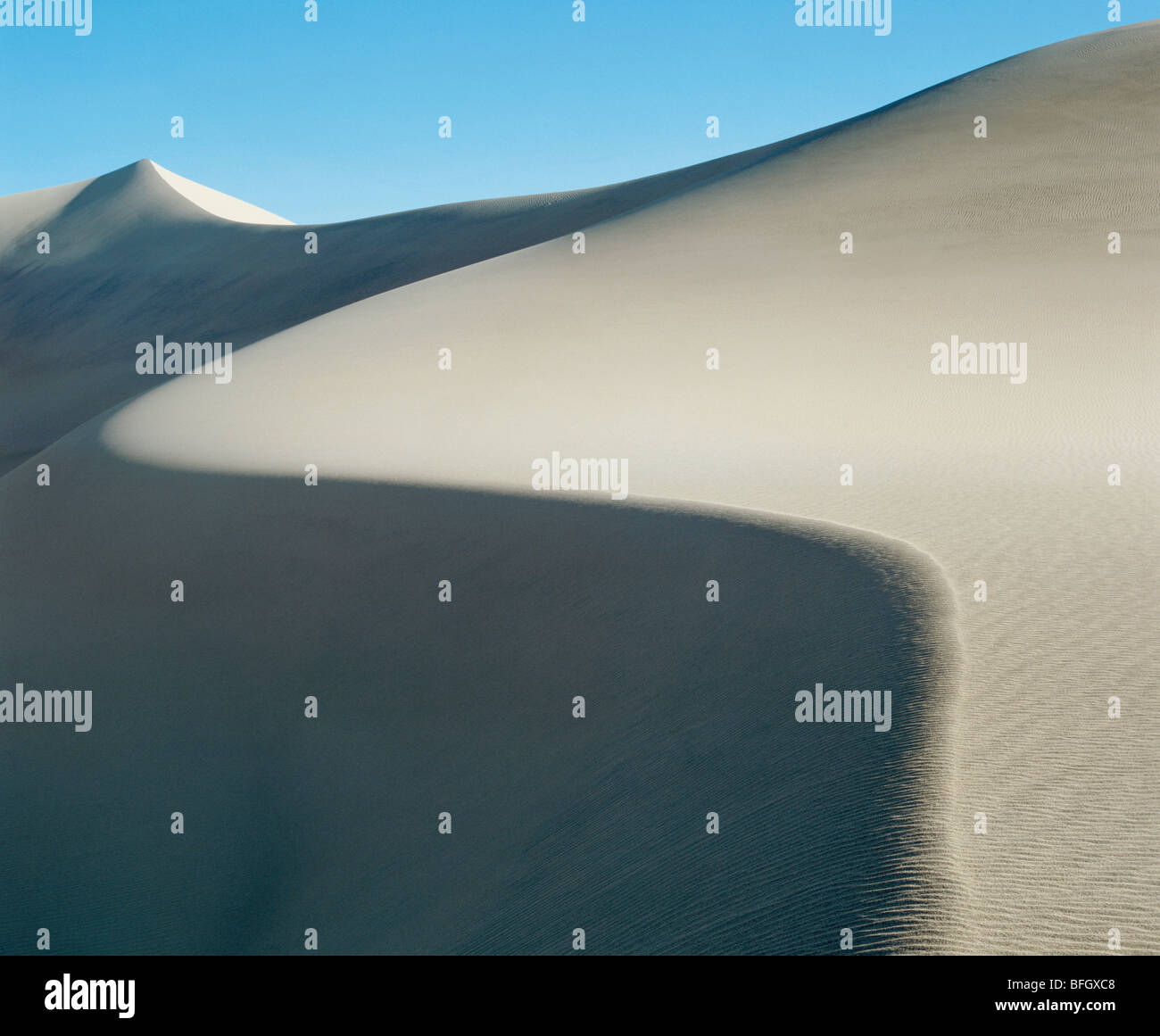 Curved ridge of sand dune Stock Photo - Alamy