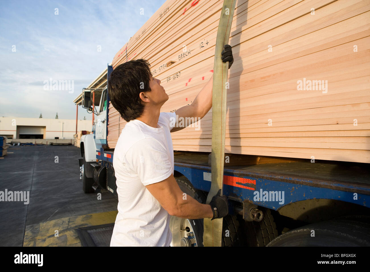 Mid-adult man adjusting strapping of truck loaded with wood Stock Photo ...