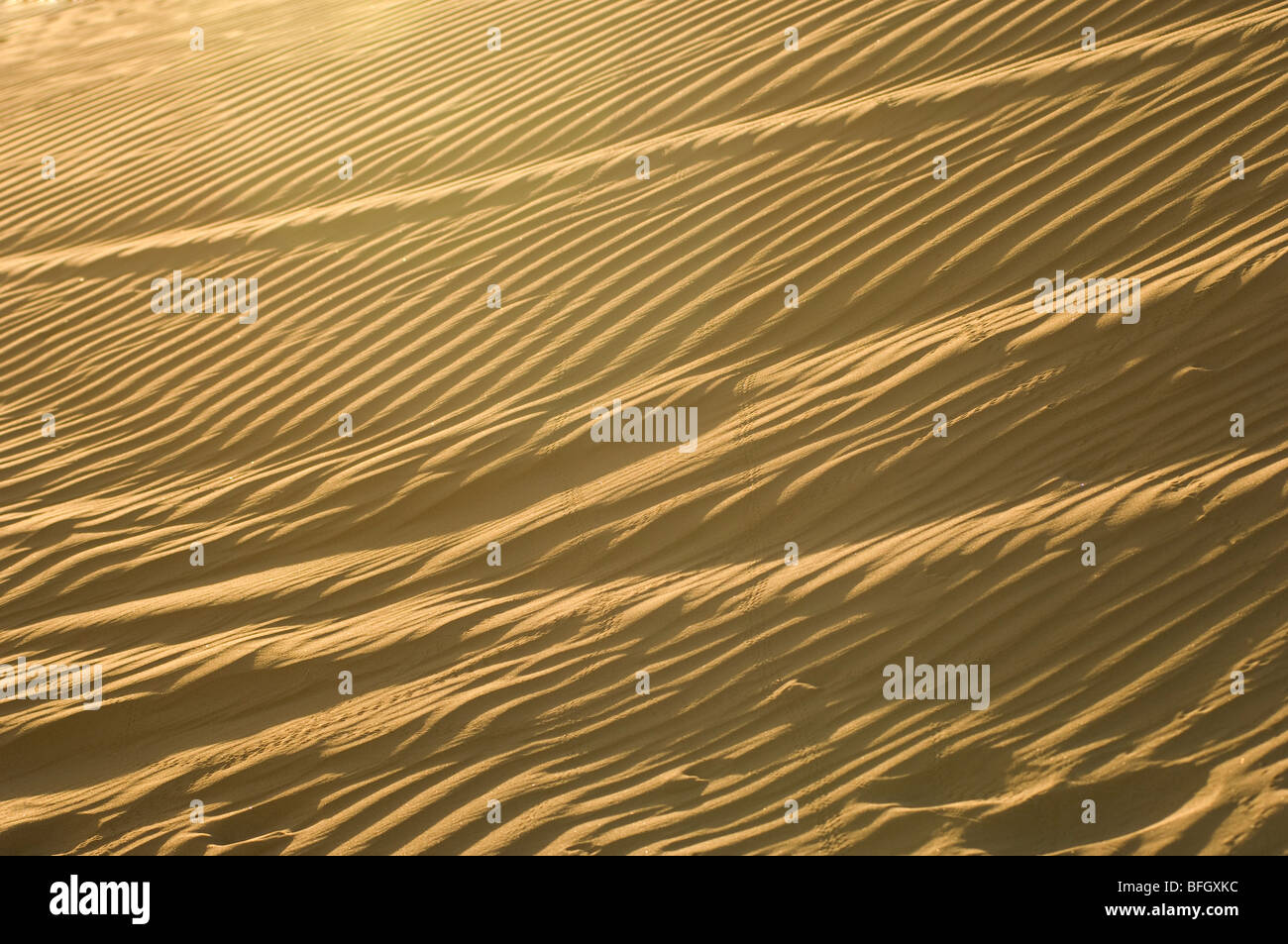 Wind Ripples in Sand Dunes Stock Photo - Alamy
