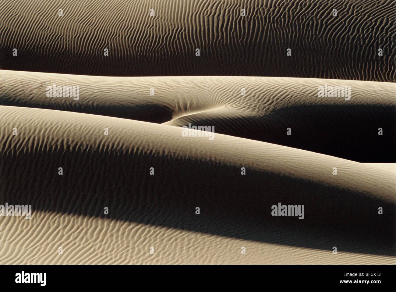 Windswept sand dunes Stock Photo - Alamy