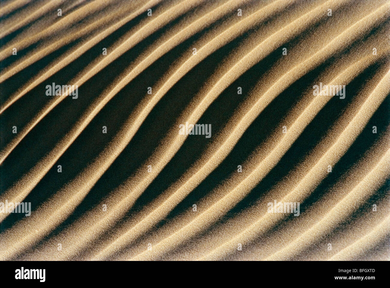 Grooves in sand Stock Photo - Alamy