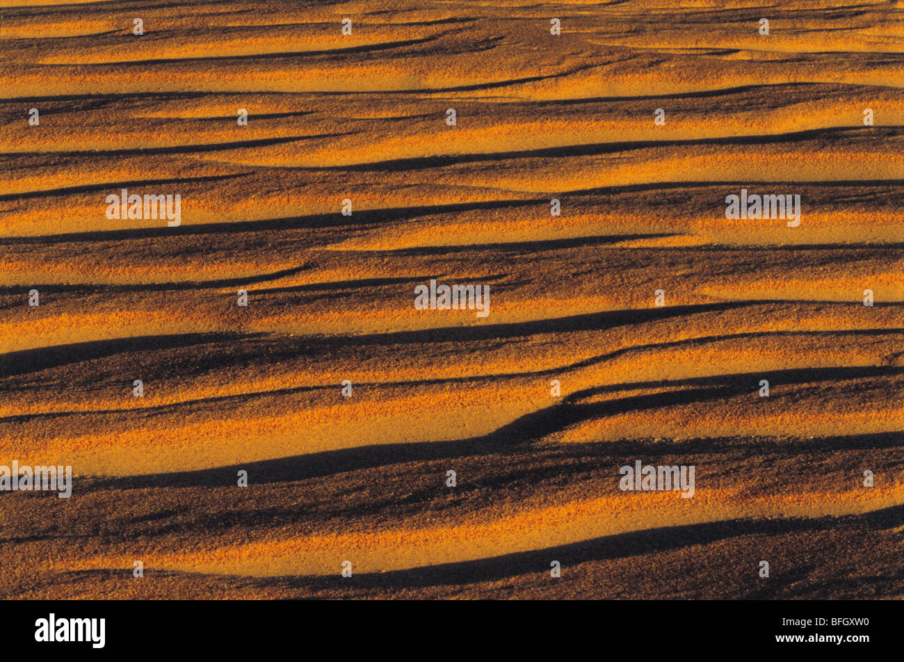 Ripples in sand Stock Photo - Alamy