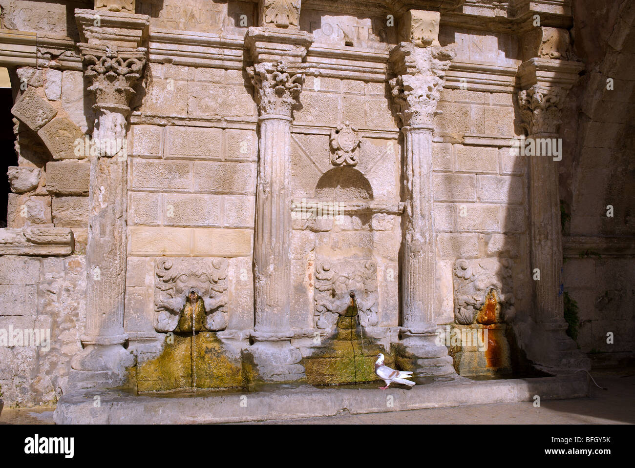 Pigeon on the Rimondi Fountain Rethymnon Crete Greece Stock Photo - Alamy