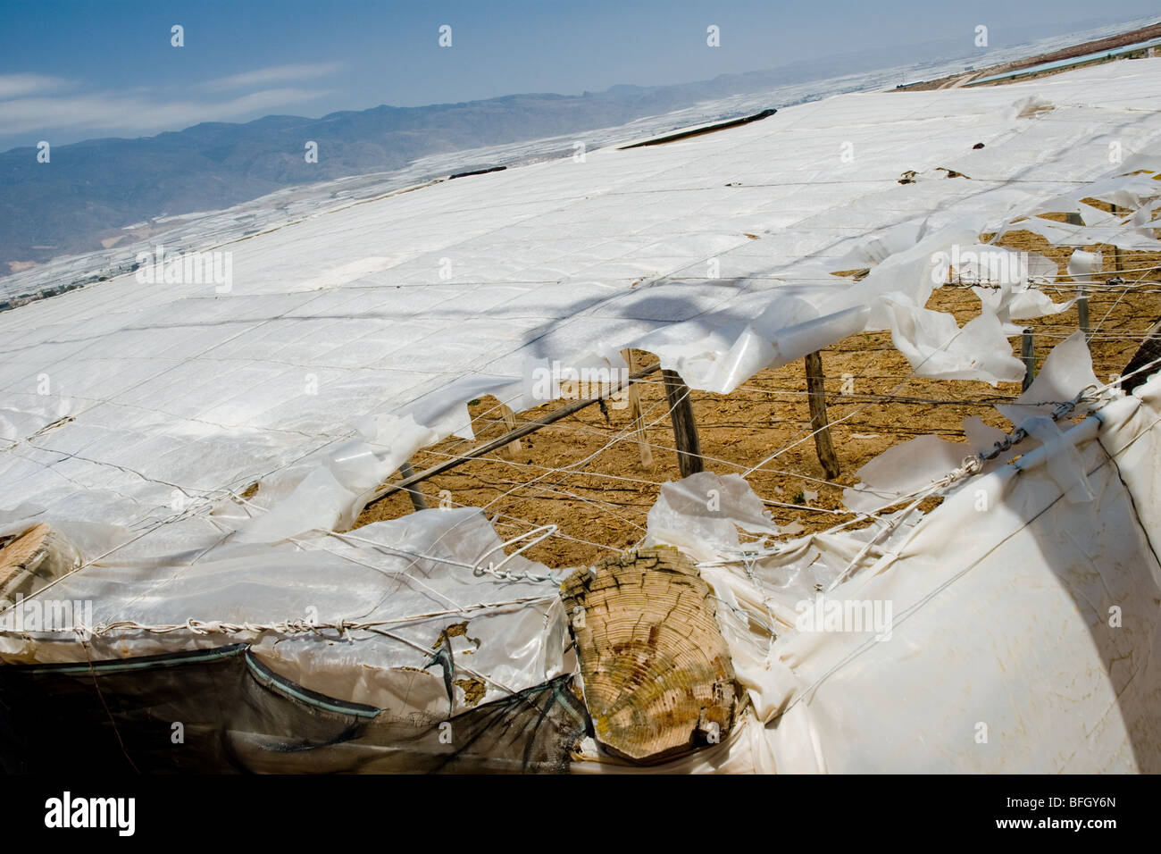 A greenhouse in El Ejido (Spain) where the irrigation system was put ...