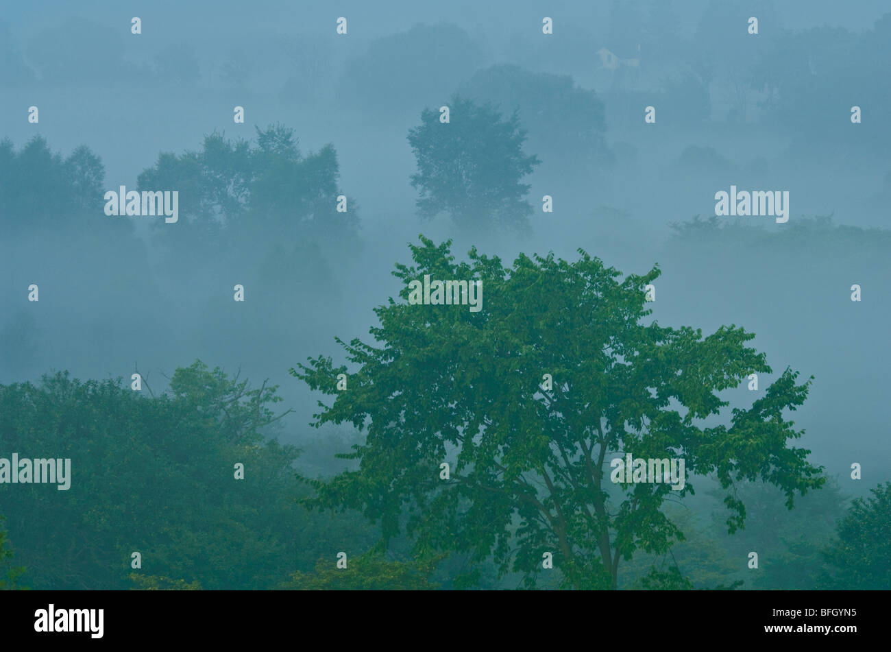Mist rising from the Grand River valley. The Grand River is a Canadian ...
