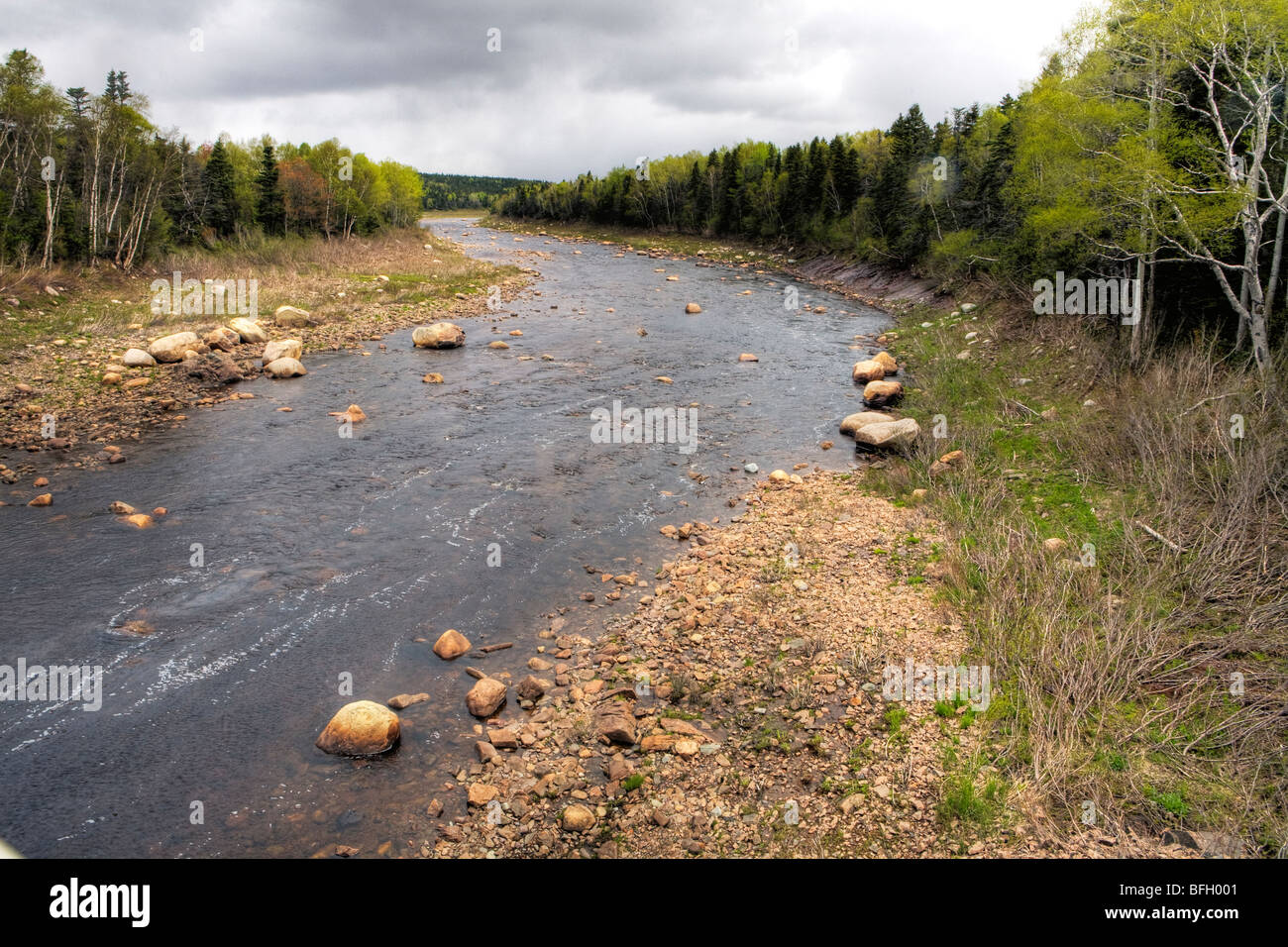 Gambo River, Newfoundland, Canada Stock Photo - Alamy