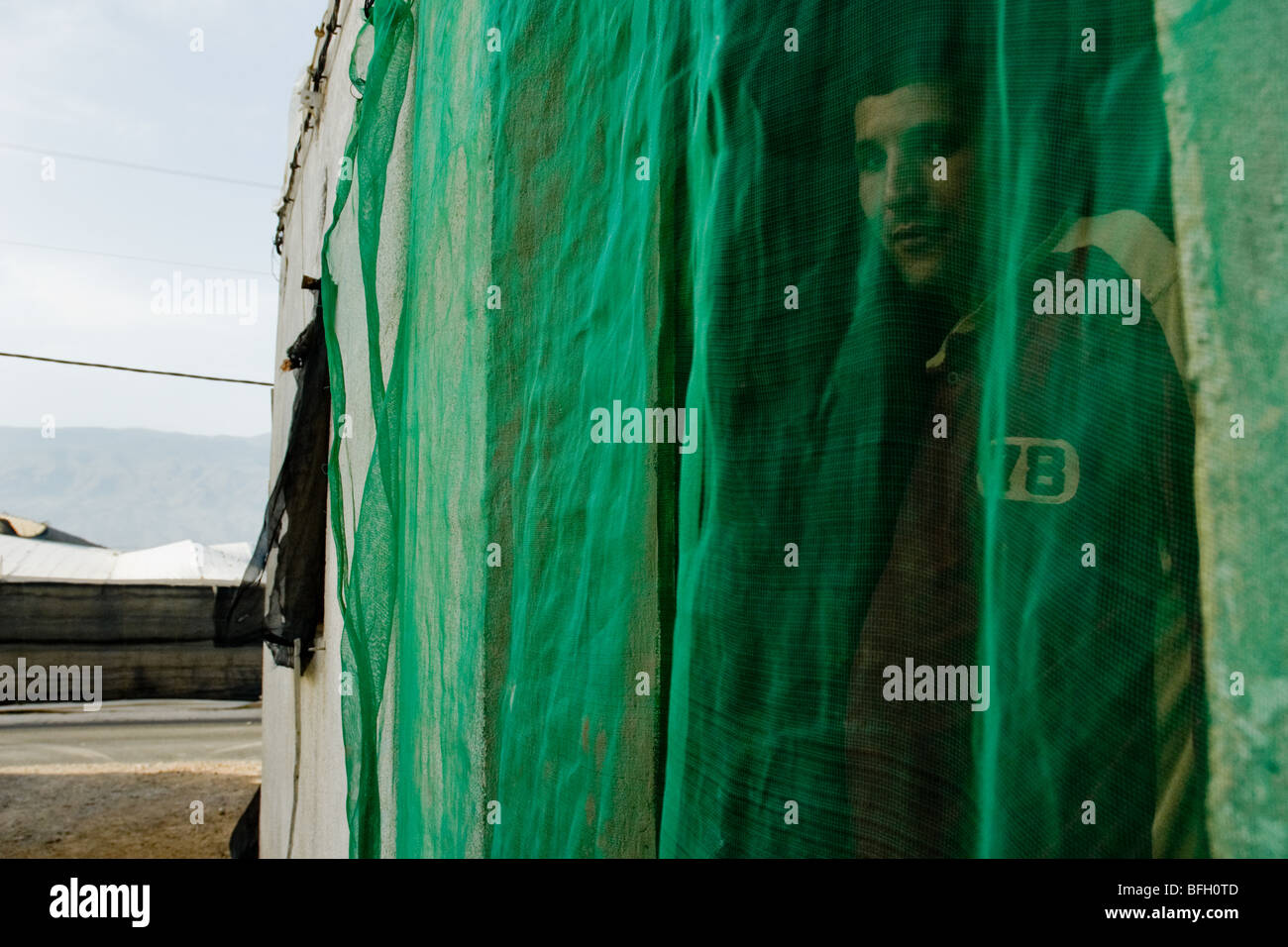 A Moroccan immigrant worker looking from behind the mosquito net in his ...