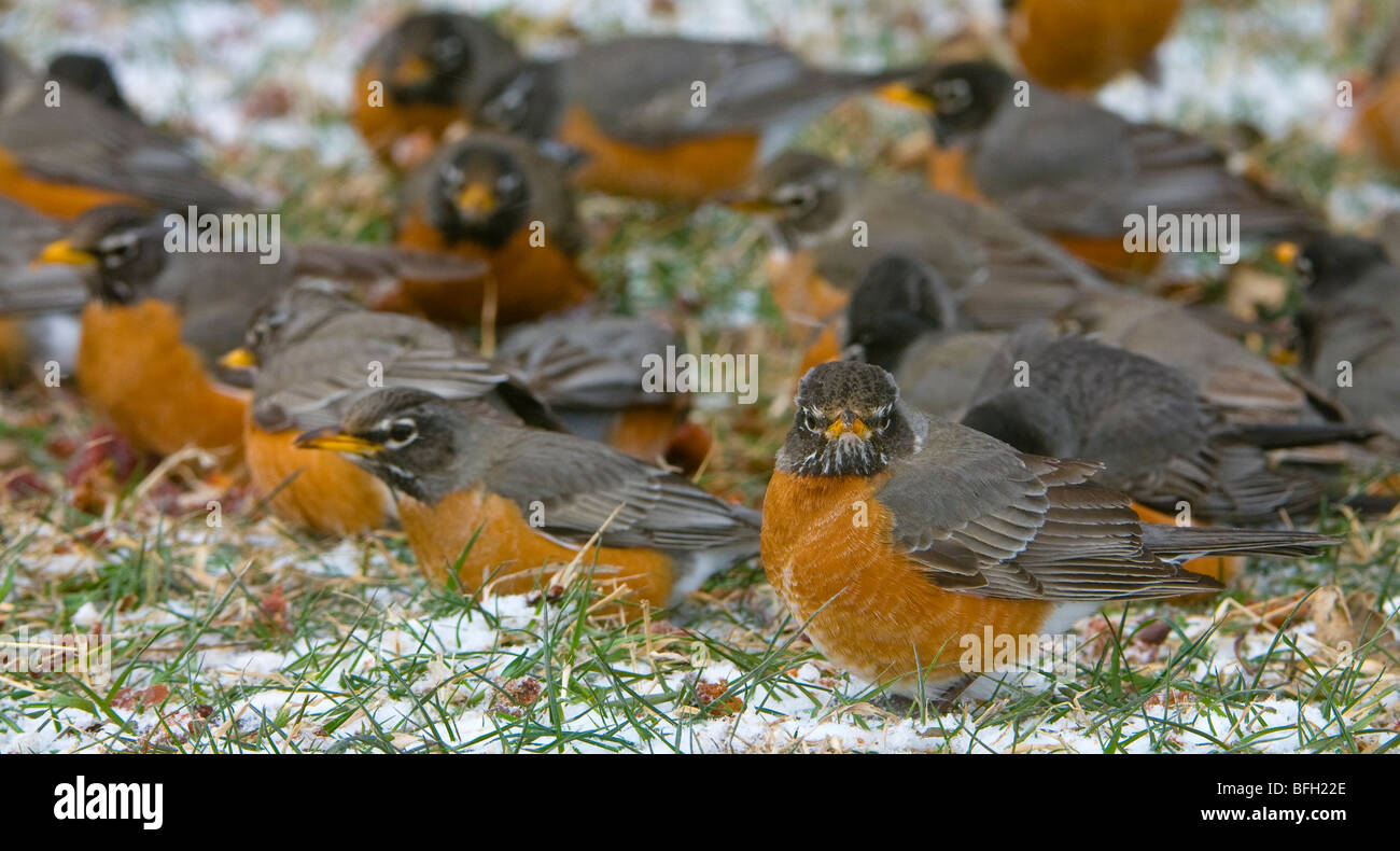 Rebecca Storm High Resolution Stock Photography and Images - Alamy