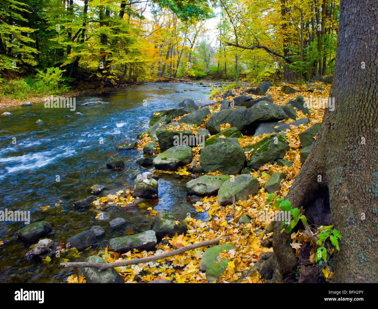 Serene autumn scene Stock Photo - Alamy