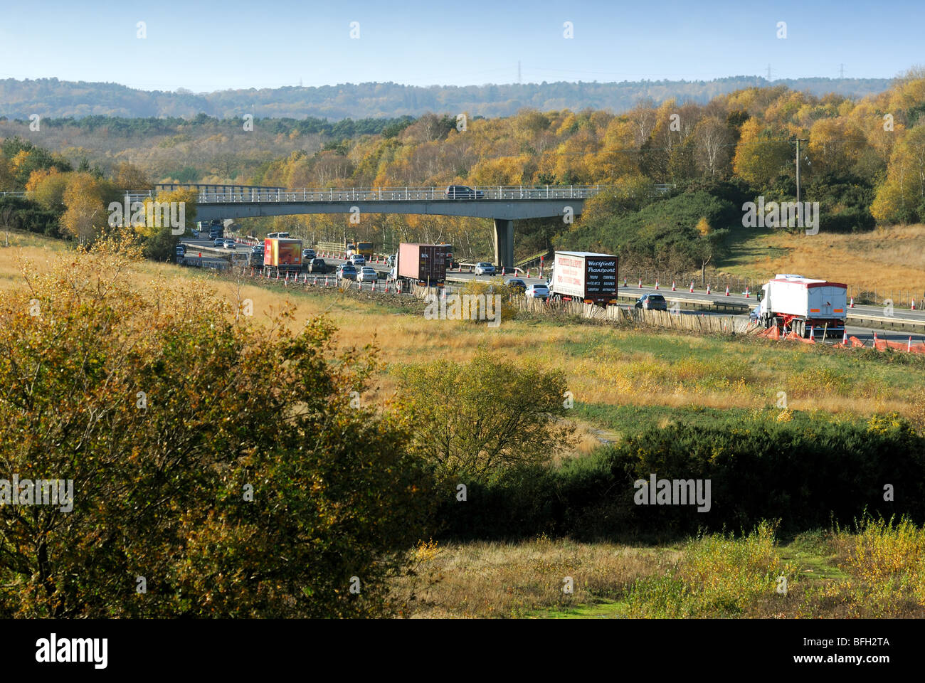 Chobham common hi-res stock photography and images - Alamy