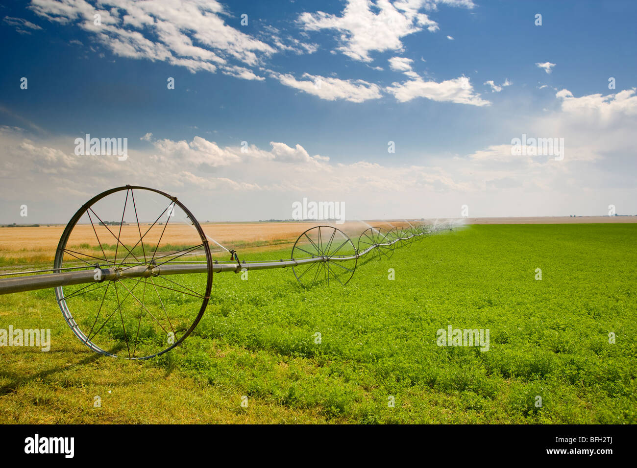 Irrigation line hi-res stock photography and images - Alamy