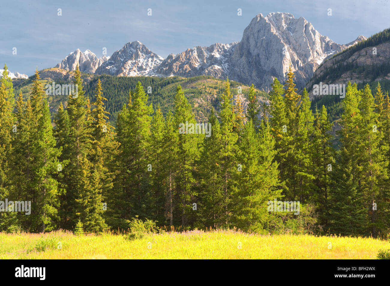 Kananaskis provincial park alberta hi-res stock photography and images ...