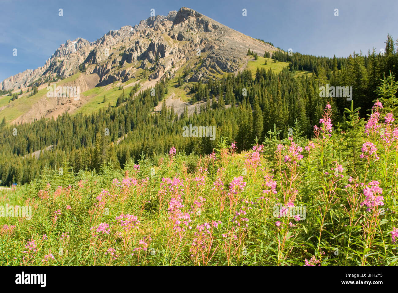 Elbow Pass, Peter Lougheed Provincial Park, Alberta, Canada Stock Photo ...