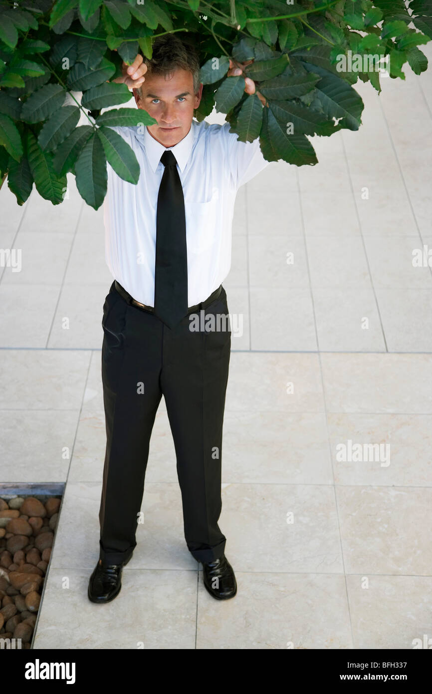Businessman standing under tree, outdoors, portrait Stock Photo - Alamy
