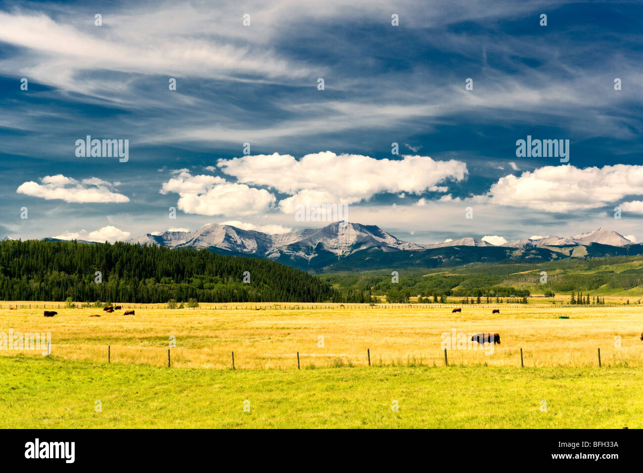 Longview, Alberta, Canada Stock Photo - Alamy