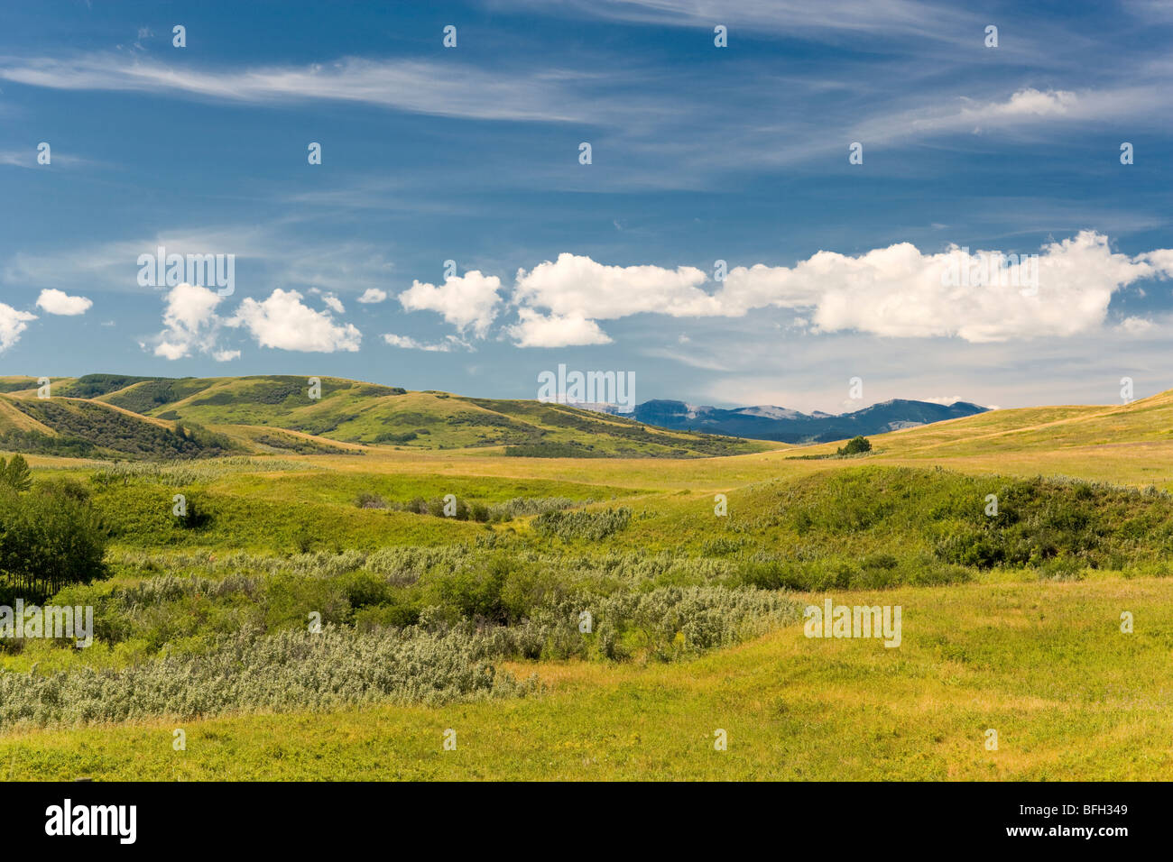 Longview, Alberta, Canada Stock Photo - Alamy