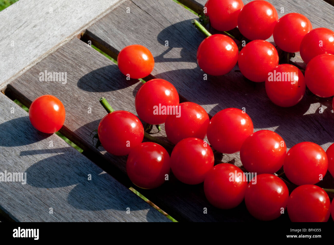 Regular Parallel High Resolution Stock Photography and Images - Alamy