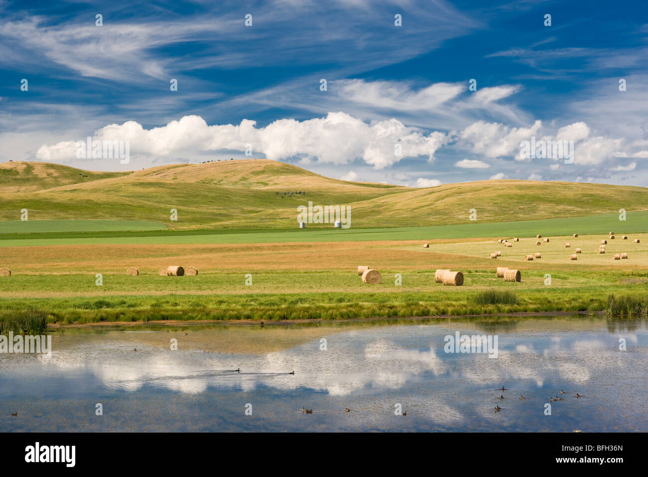 Longview, Crowsnest Highway, Alberta, Canada Stock Photo - Alamy