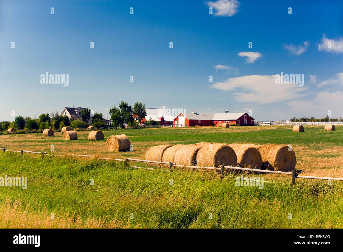 Farm, Nanton, Alberta, Canada Stock Photo - Alamy