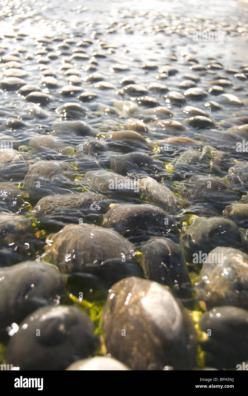 Rounded stones in flowing water Stock Photo - Alamy